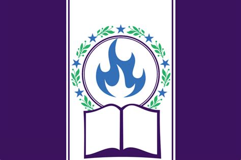 Flags I Made For A Dnd Campaign Rvexillology