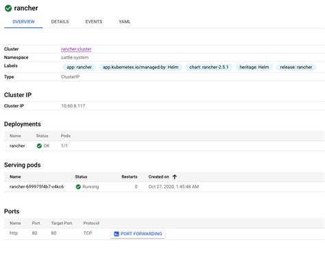 Rancher 251 In Gke Cluster Suse Rancher Prime Suse