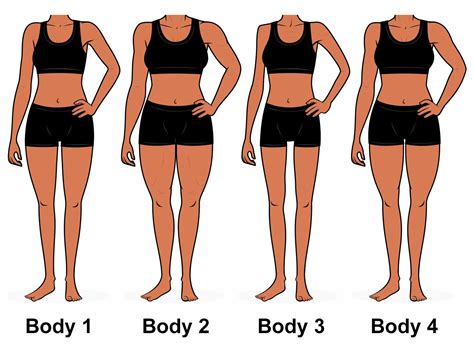 Women Body Types Skinny To Fat