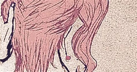Jojo【腐】 【承花】ゼロを越えて 効き目のマンガ 承花 花京院典明 生存院 Pixiv
