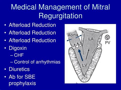 Ppt Mitral Regurgitation Powerpoint Presentation Free Download Id