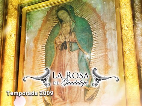 Prime Video La Rosa De Guadalupe Season