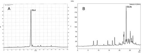 Synthesis And Properties Of Rna Modified With Thioamide Internucleoside