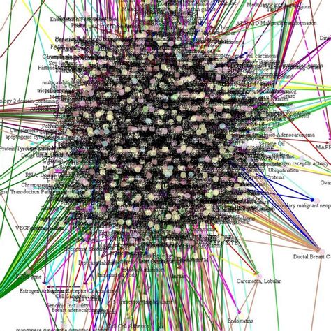 For Large Cross Database Exploration Semantic Substrates A Provide A Download Scientific