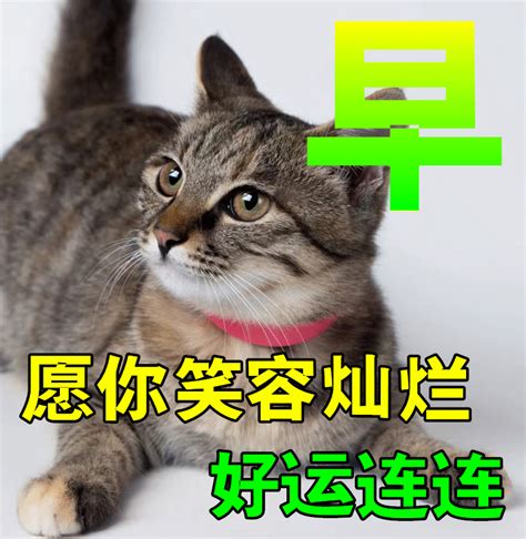 6月13日漂亮早上好问候动态表情图片大全 2022夏日微信最美早安问候祝福语图片带字温馨腾讯新闻