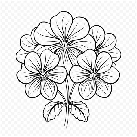 Page 2 Traceable Flower Drawings Psd High Quality Free Psd Templates