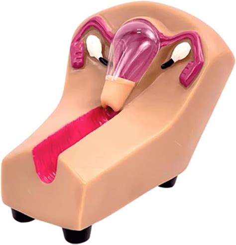 Atijaa Teaching Model Female Intrauterine Contraceptive