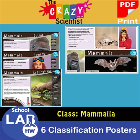 Mammal Classification Posters The Crazy Scientist