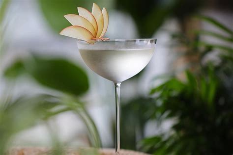 6 Botanical Cocktails To Unwind With At Home — La Résidence · Plant