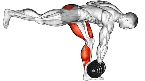 Dumbbell Leg Workout For Strong Legs