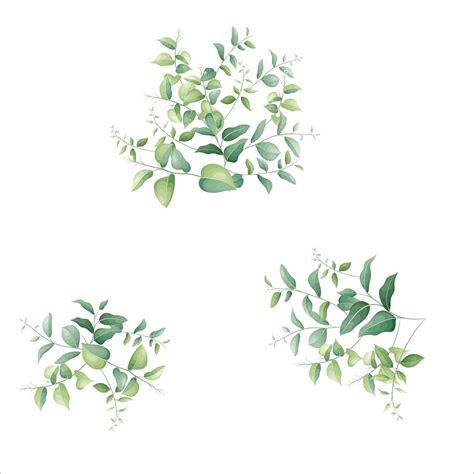 Elegant Greenery Leaves Frame Bouquet 47468593 Vector Art At Vecteezy