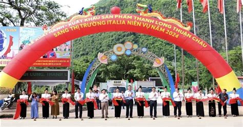 Son La：5トンの赤肉ドラゴンフルーツをイタリア市場に輸出 Vietnamvn