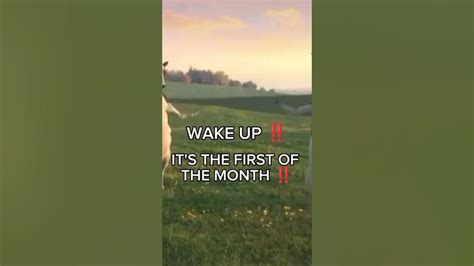 Wake Up Its The First Of The Month Memes Funny Firstofthemonth Meme