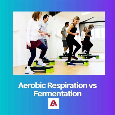 Aerobic Respiration Vs Fermentation Difference And Comparison