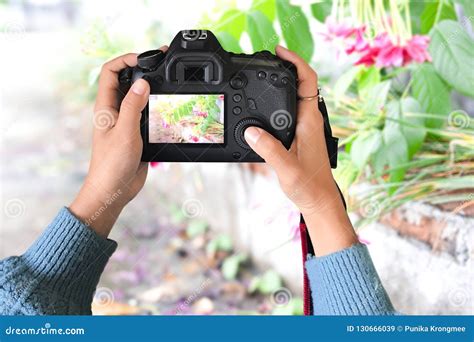 Amateur Photographers Use The Camera To Look At Street Flowers Stock