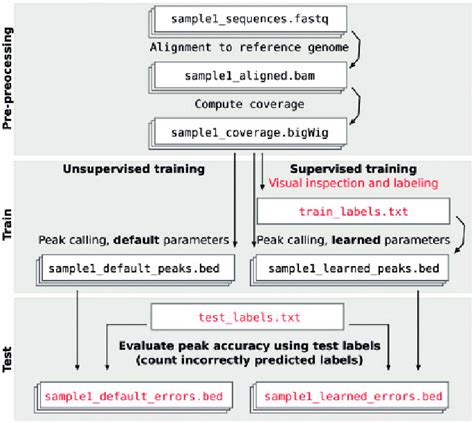 Supervised Chip Seq Analysis Includes An Extra Labeling Step Labels Download Scientific
