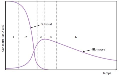 Evolution Dune Culture Bactérienne Degremont®