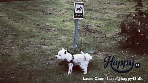 Hackathons Learnings Tips And Tricks Pdf