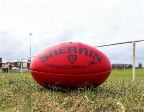 Chfl Closes Finals Crowd Incident Investigation The Courier Ballarat Vic