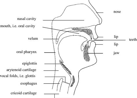 Figure 1 From New Linear Predictive Methods For Digital Speech Processing Semantic Scholar