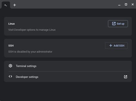 Linux Terminal On Chromebook Ron Amosa