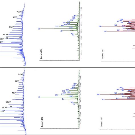 Gas Chromatograms And Mass Fragmentograms M Z 191 And 217 Of The
