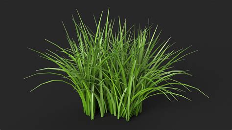 3d Realistic Grass Patch Model Turbosquid 2248508