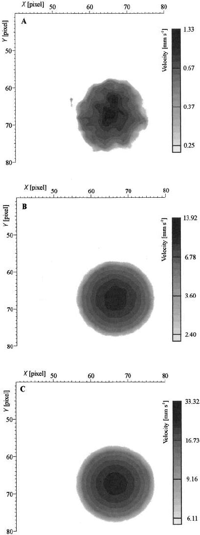 Spatial Distribution Of Velocities Inside A Capillary Tube With A