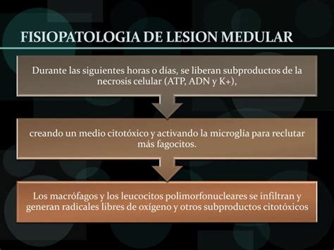 Shock Medular Neurogenico Jose Cristian Vairo Pptx