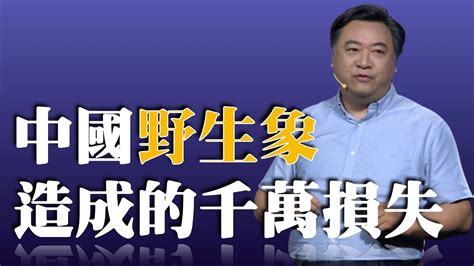 张立：中国只有300多头野生大象，每年却要造成超过2000万元的损失，为什么？ Youtube