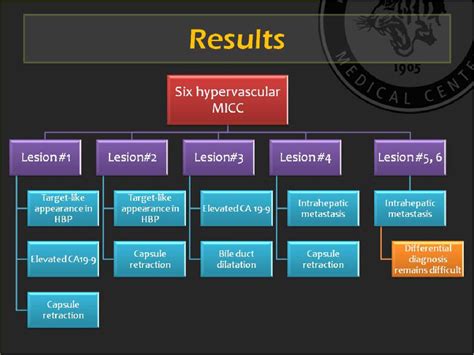 Figure 3 From Comparison Of Gd Eob Dtpa Enhanced Liver Mri Findings Of Atypical Hypervascular
