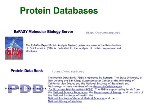 Databases Of Bioinformatics Pptx Databases Computer Software And