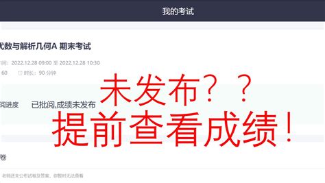 【教程】【最新可用】使用脚本提前查看智慧树考试成绩 哔哩哔哩