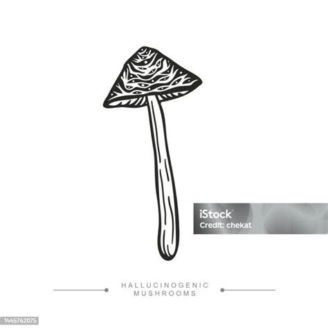 마법의 초현실적 환각 버섯의 흑백 그림 독성 판타지 프슬로시빈 버섯 벡터 그림 Lsd에 대한 스톡 벡터 아트 및 기타 이미지