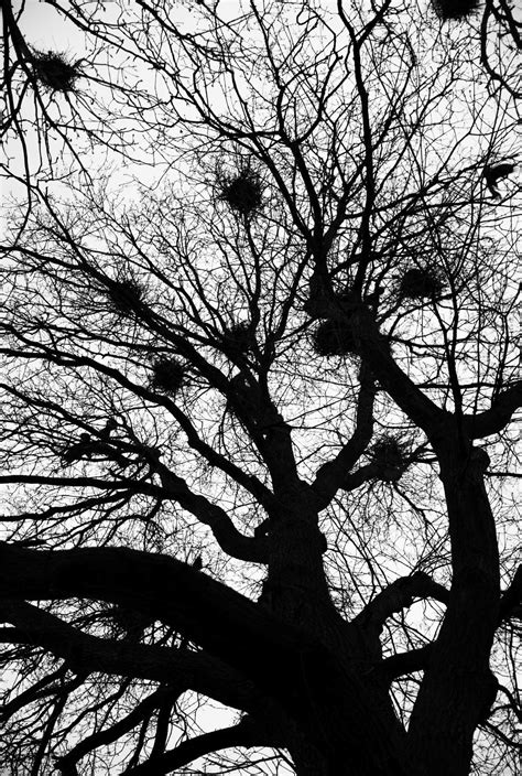 Natur Monika Jessing Fotografie