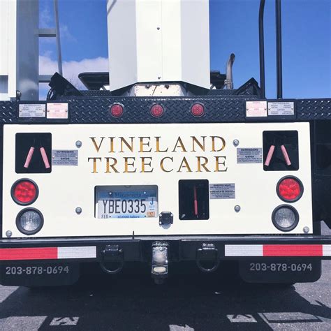 Vineland Tree Care Minneapolis Mn