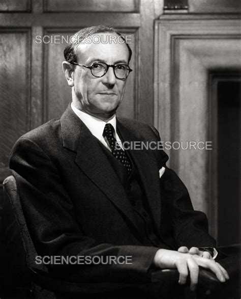 Sir James Chadwick Stock Image Science Source Images