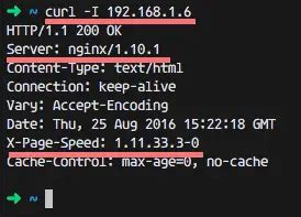 How To Install Nginx And Google PageSpeed On Ubuntu Xenial Xerus