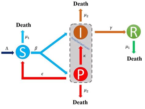 Spir Model Is Proposed To Model The Number Of Probable Case Of Covid
