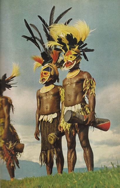 Paradise Birds Katrin Polar Lights Katrin Custom Oil Set Foto