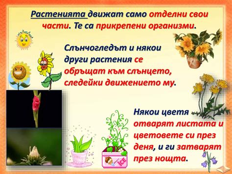19 Жизнени процеси при растенията и животните Жизнени процеси ЧП 4