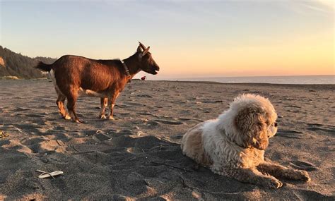 Me And Sis Staring Into The Sea Rule R196