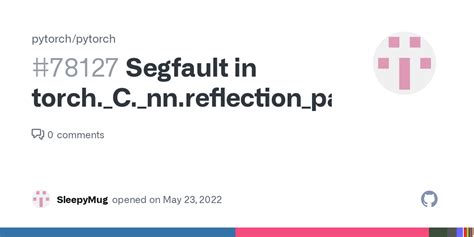 segfault in torch c nn reflection pad2d · issue 78127 · pytorch