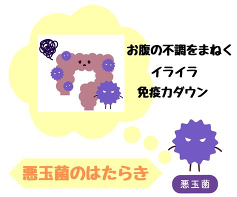 善玉菌を増やすにはどうしたらいい？悪玉菌とのバランスや要注意の飲み物