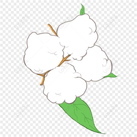Imagenes De Algodón Dibujo Fondo Algodón Dibujo Fotos Y Png Descarga