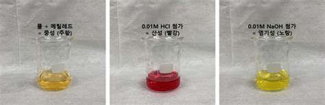 순도시험 산 알칼리 시험 메틸레드 페놀프탈레인 Ph시험지 네이버 블로그
