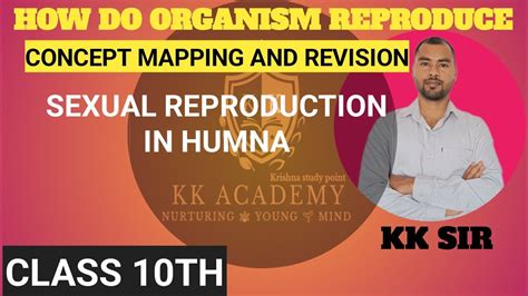 science class th chapter sexual reproduction in human जव जनन कस करत ह YouTube