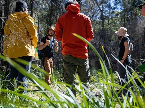 Bush Survival Course Nsw Holidays And Accommodation Things To Do Attractions And Events