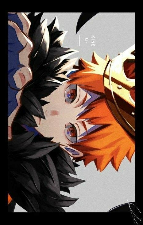 Hinata Shoyo Istrisahnyasasuke