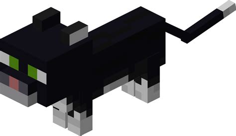 Little Kittens Life Minecraft Animation Telegraph